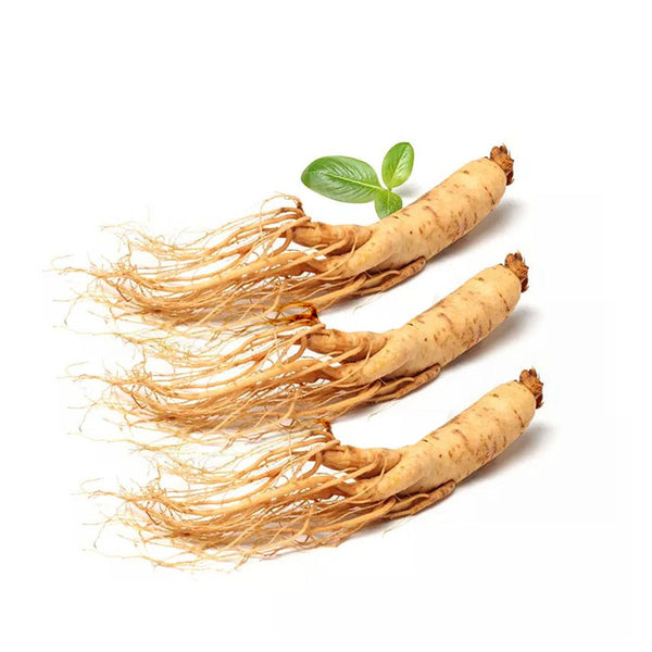 Local American Ginseng – Al Premium Food Mart - McCowan