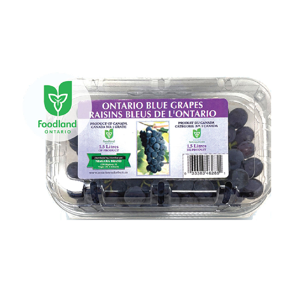 Ontario Blue Grapes – Al Premium Food Mart - McCowan