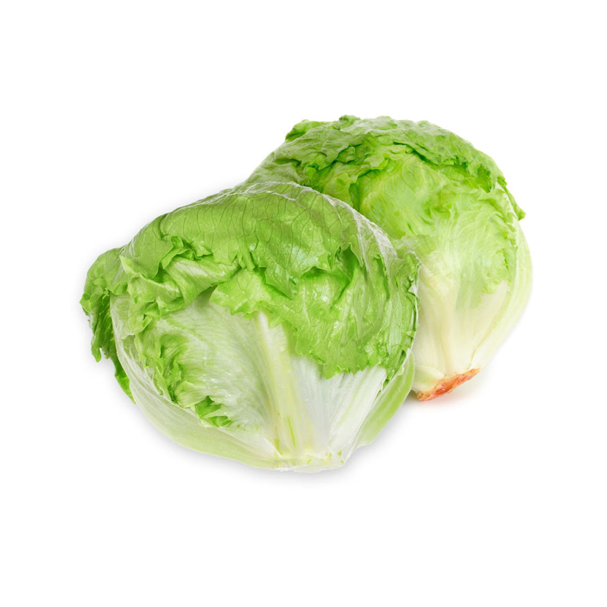 Iceberg Head Lettucex2 – Al Premium Food Mart - McCowan