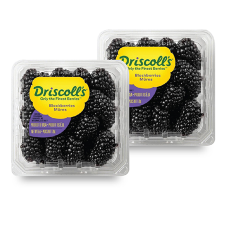 Driscoll'S Blackberries – Al Premium Food Mart - McCowan