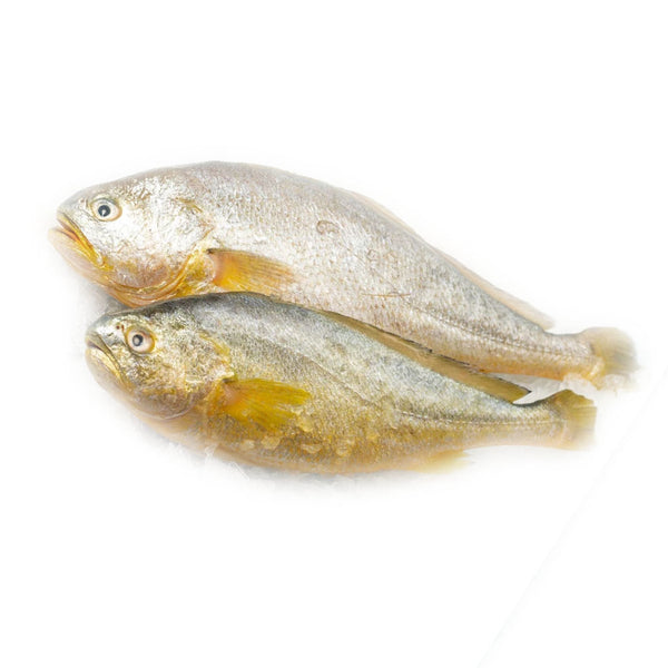 Local Yellow Croaker – Al Premium Food Mart - McCowan
